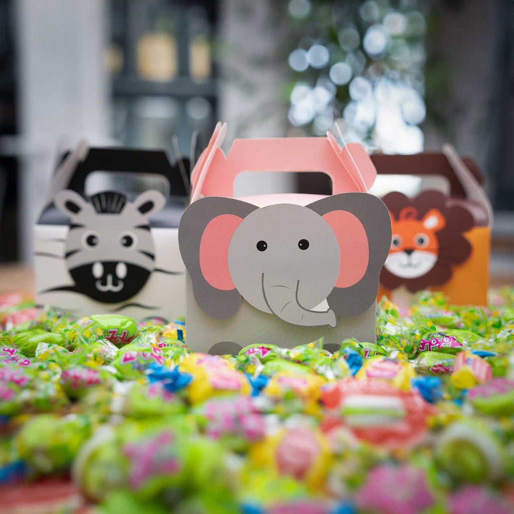 Emartbuy Lion Elephant Zebra Animal Gift Boxes - Pack of 12 – EMARTBUY